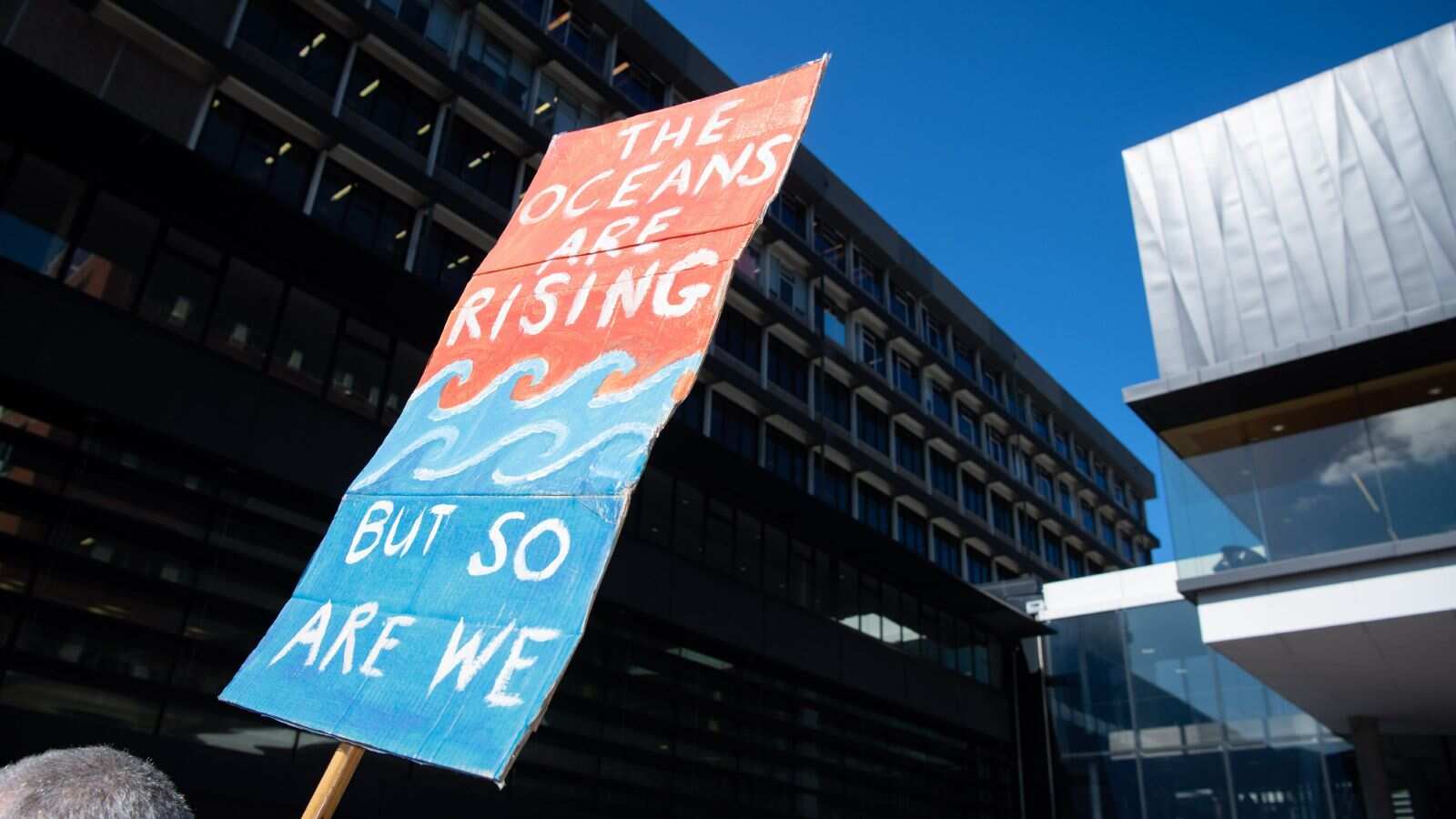 WION Climate Tracker: Can accountants save the world? - World News WION Climate Tracker: Can accountants save the world? - World News