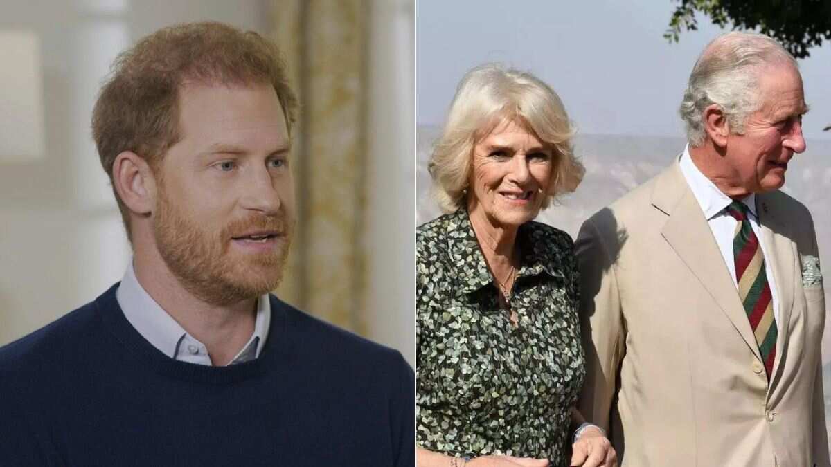 Prince Harry calls Camilla 'dangerous', 'villain'; accuses her of ...