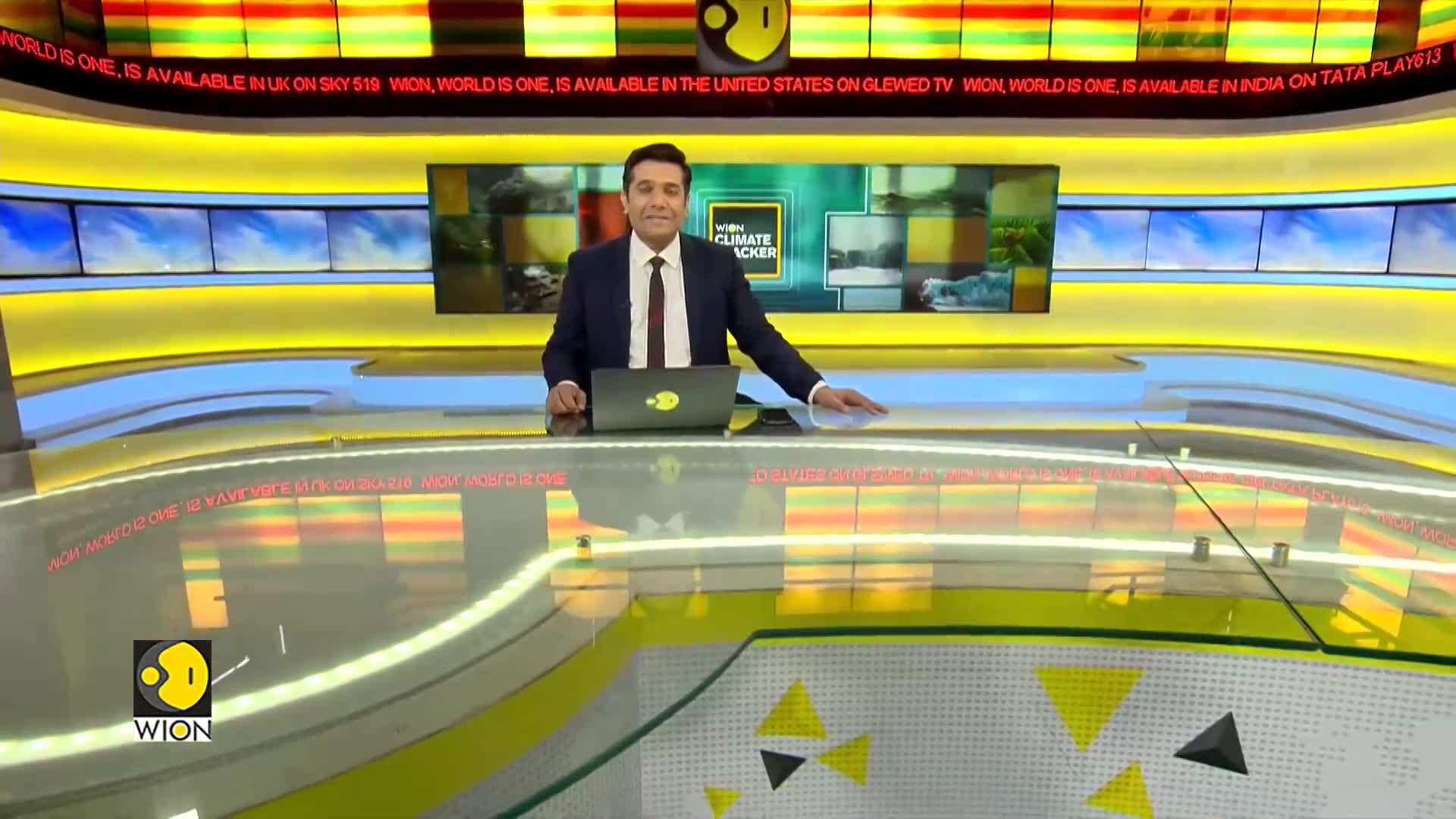 This video of the dancing turtles will make your day - World News