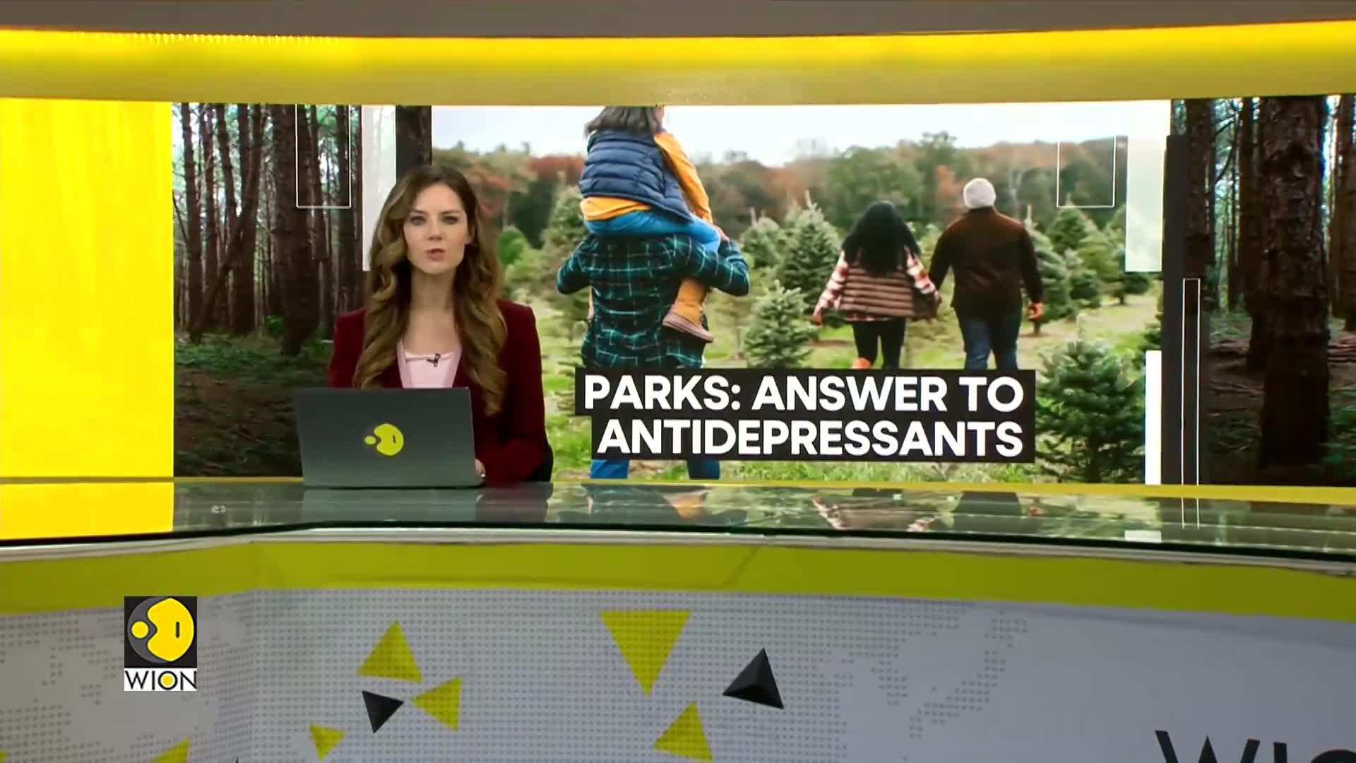 Nature can boost your mental health - World News