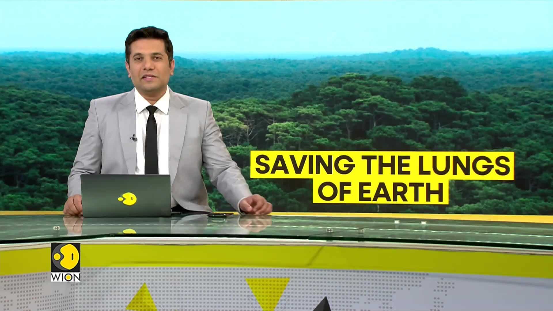 Fall in deforestation in Amazon: Report - World News