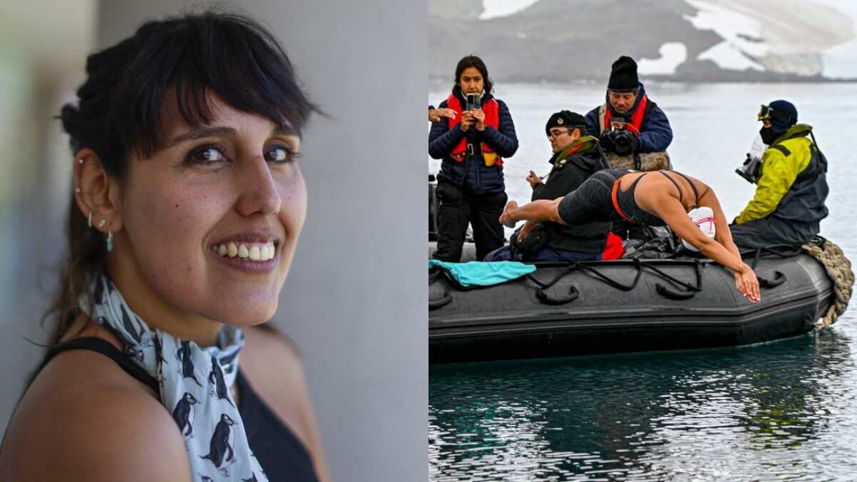 Barbara Hernandez completes 2.5 km Antarctic swim, becomes first person ...