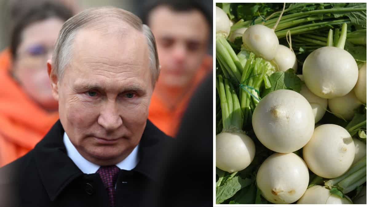 Vladimir Putin mocks West with turnip reference amid food crisis ...