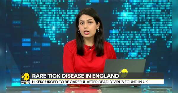 Rare encephalitis tick disease found in England - World News