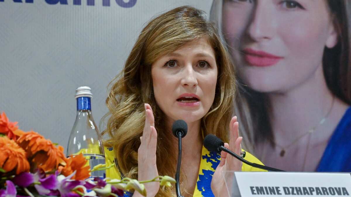 Ukrainian minister weighs in on what India can learn about 'difficult ...