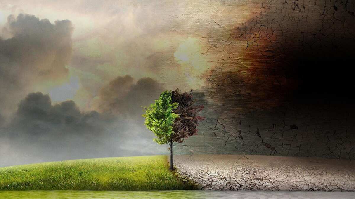 Earth Day: 10 movies that will inspire you to take action on climate ...