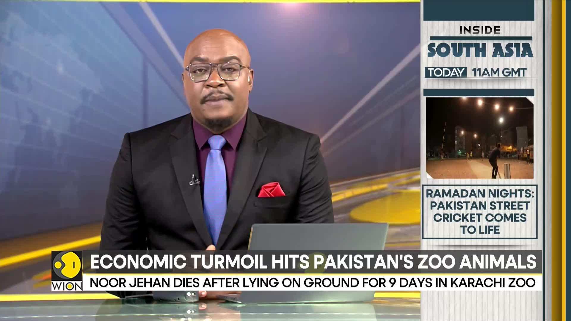 Elephant in Pakistan zoo dies, reviving concern over animal treatment ...