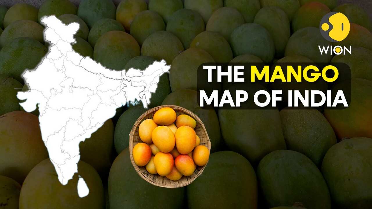 As the mango season arrives in India, here's where to get them - Edge News