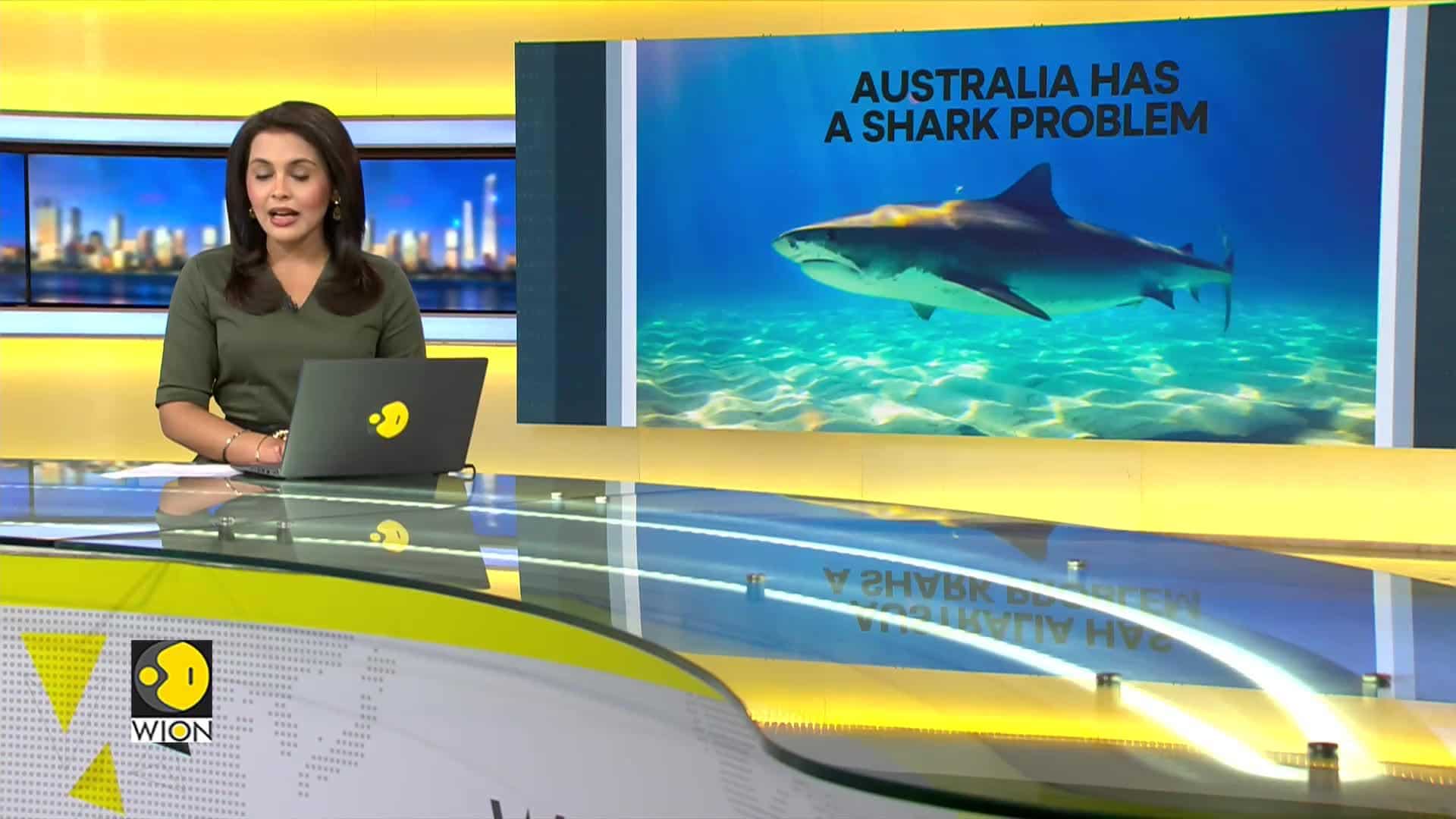 Missing surfer believed dead after Australia shark attack - World News