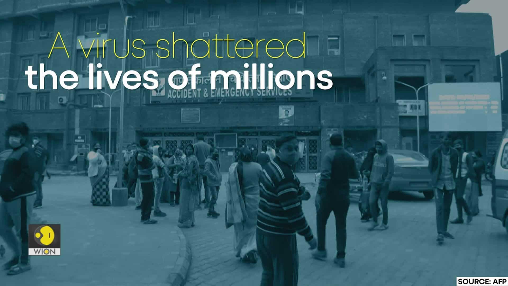 How a bat virus from India's Kerala found new ways to infect people ...