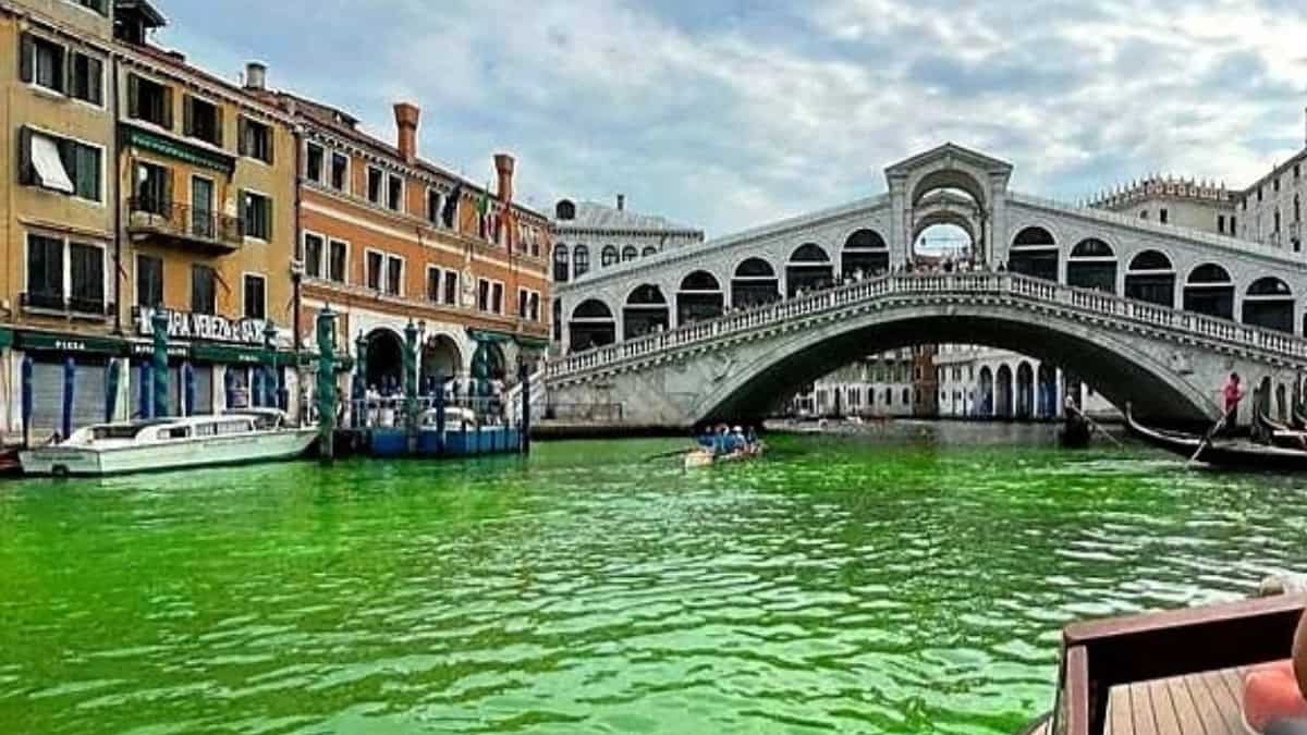 Reason behind Venice's Grand Canal turning fluorescent green revealed ...