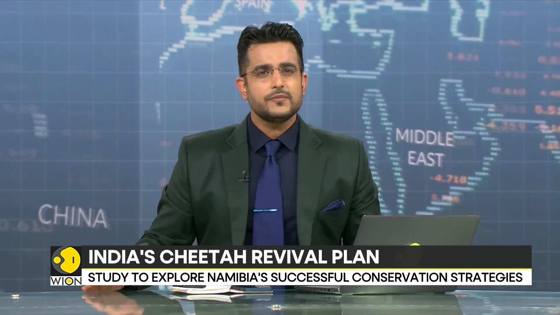 India's Cheetah reviving plan: Officials to be sent on study tours to ...