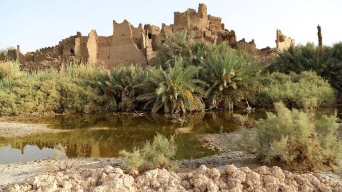 In Pics | Mystery of the desert: The lost cities of the Nigerien Sahara ...