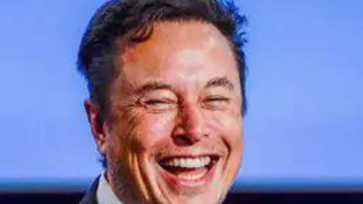 Elon Musk shown dapped up for desi wedding with henna and sherwani ...