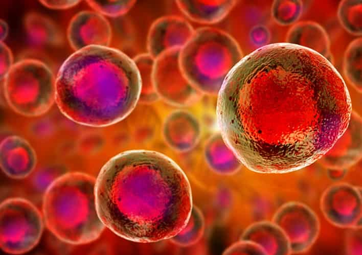 China all set to become first country in world to grow blood stem cells ...