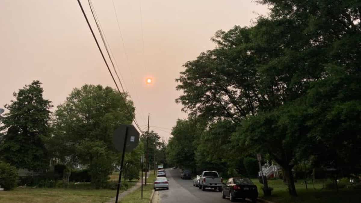 In Pics | Orange haze from Canada wildfires shroud parts of US - World News