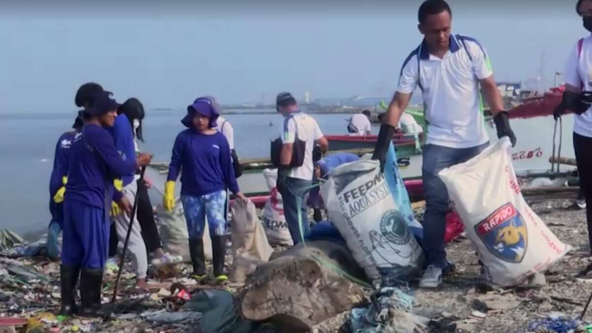 In Pics | Volunteers clean Manila coastline on World Oceans Day - World ...