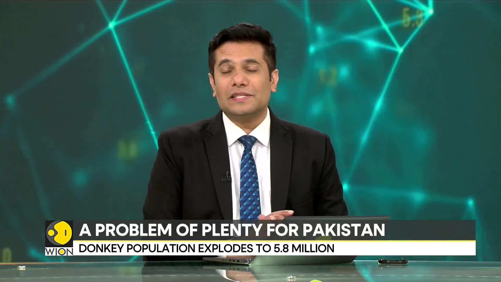 Pakistan eyes millions from donkey exports - South Asia News