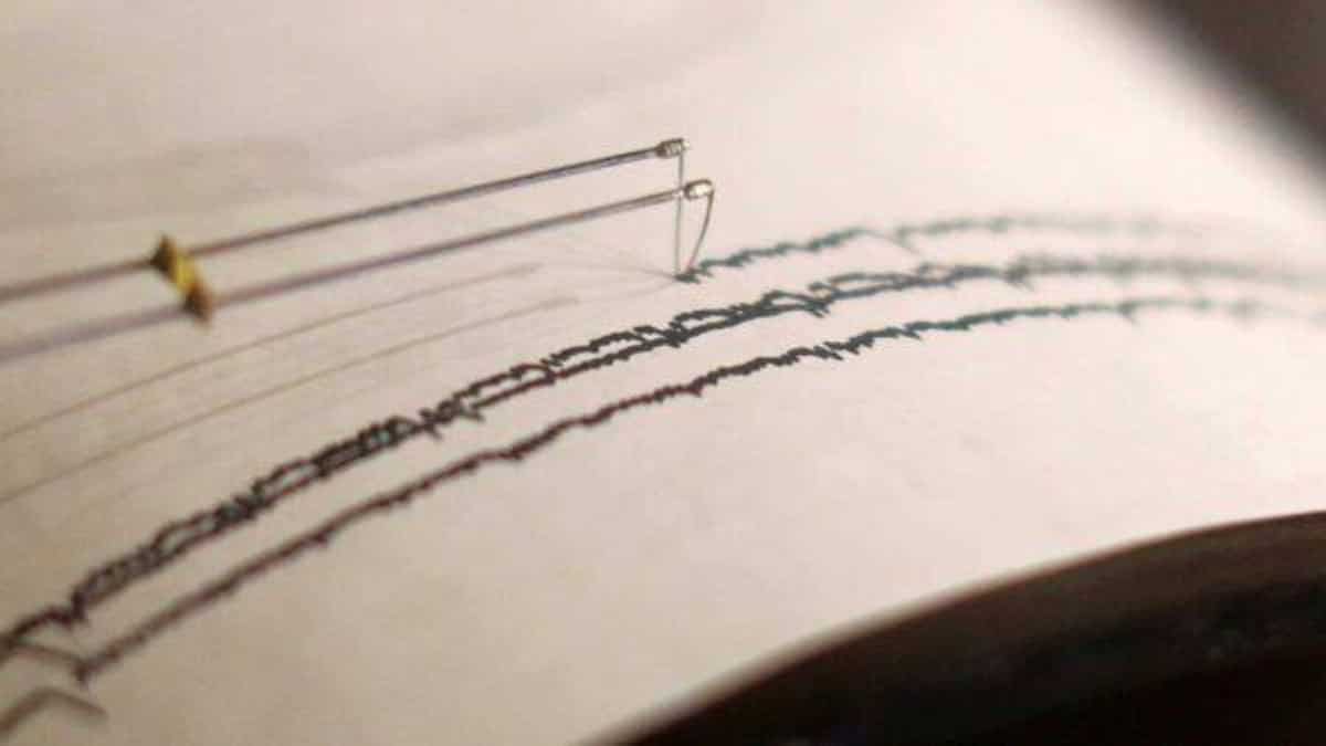 Strong earthquake shakes South Africa's Johannesburg, authorities take ...