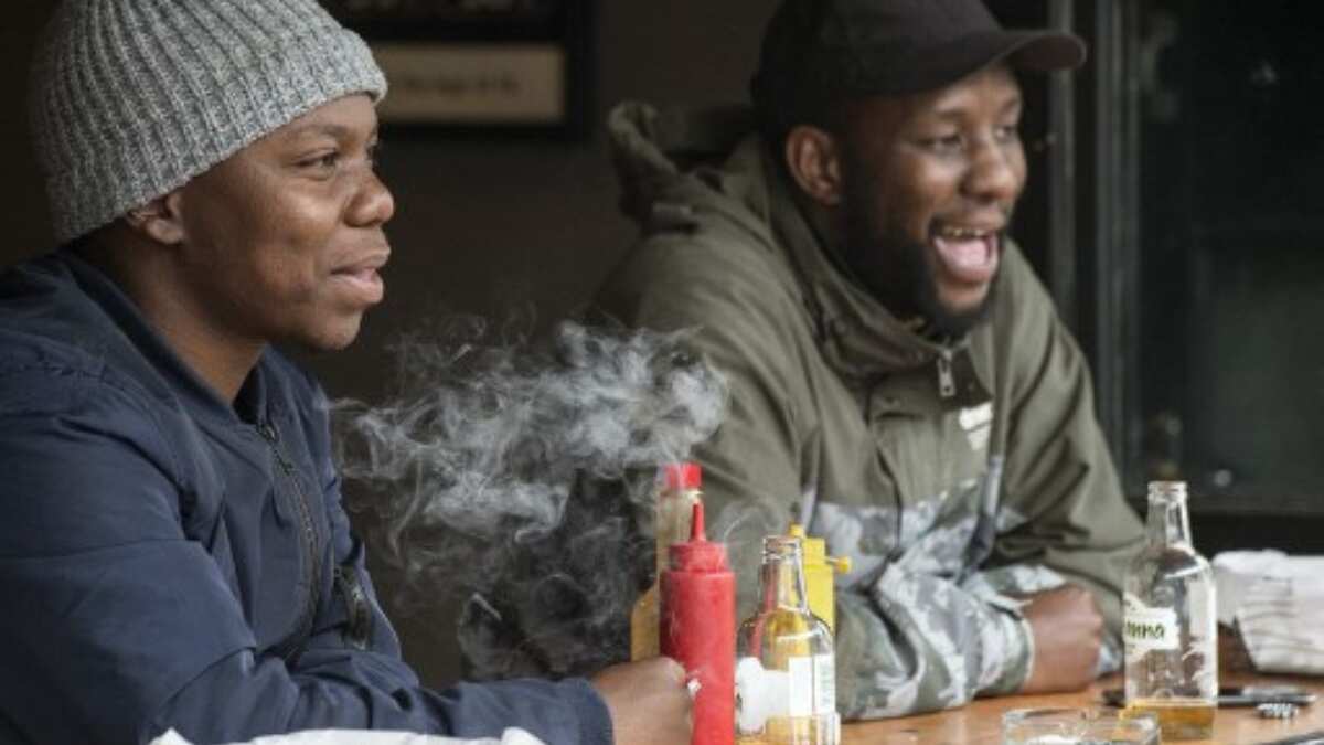 In Pics | Up in smoke: South Africa destroys 20 million illicitly ...