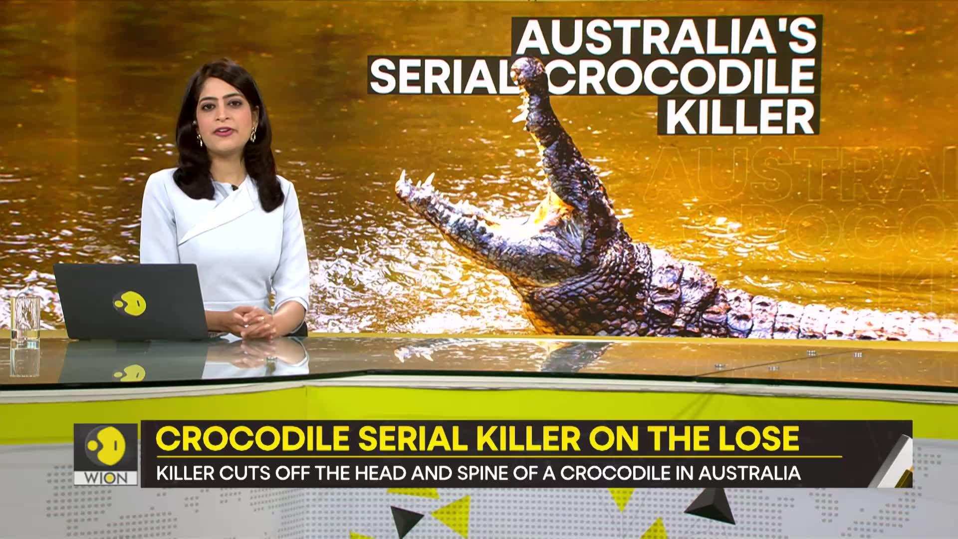 Gravitas: Serial killer severs a crocodile's head - Gravitas News