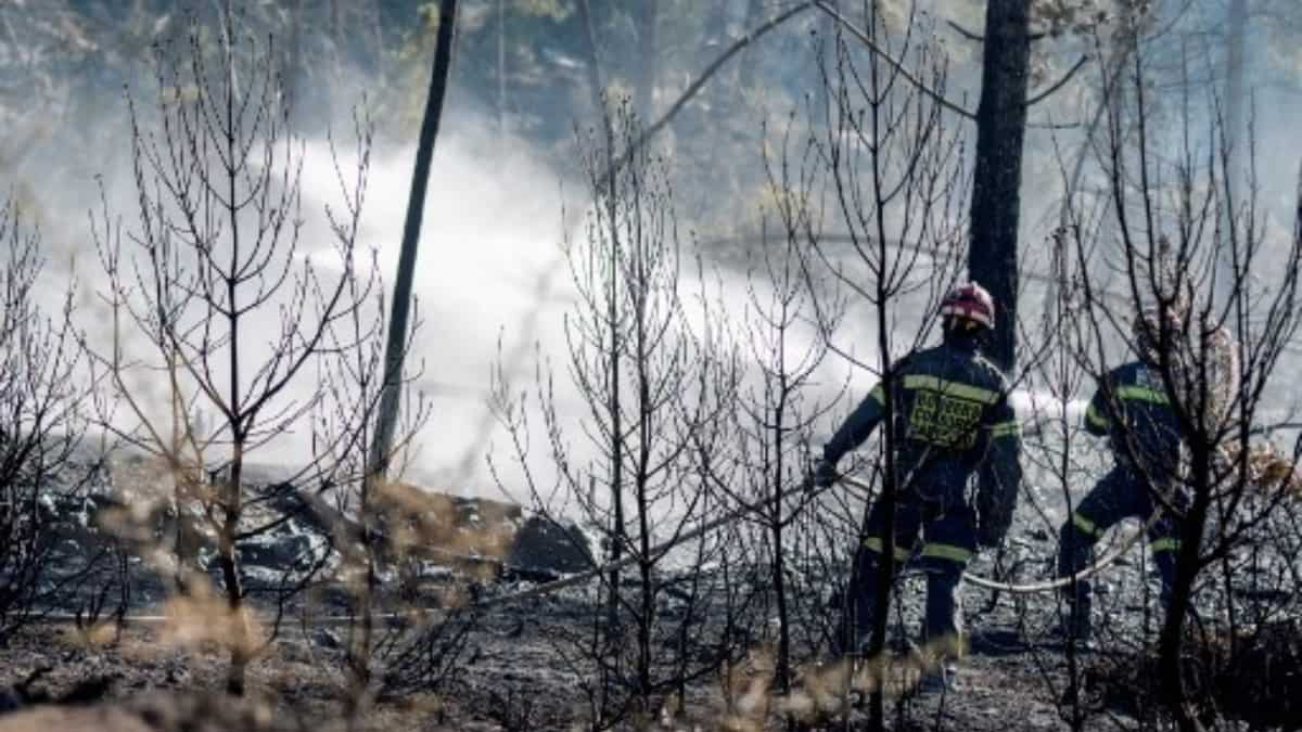 Spain ramps up wildfire defences after last years' wildfires - World News