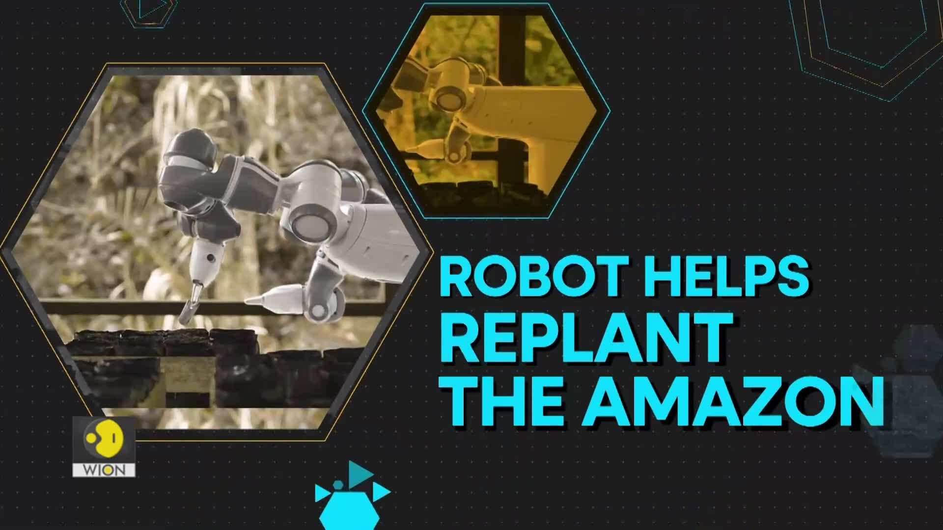Robotic revolution in the Amazon rainforest | Tech It Out - World News