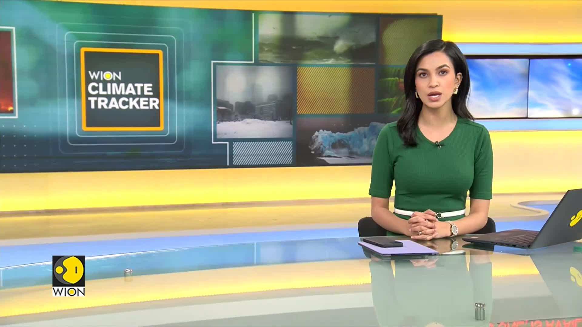 Dear Earth: Art and Hope' unveiled amid climate crisis - World News