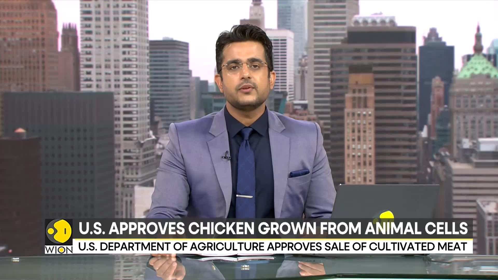 USDA allows lab-grown meat to be sold to US consumers - World News