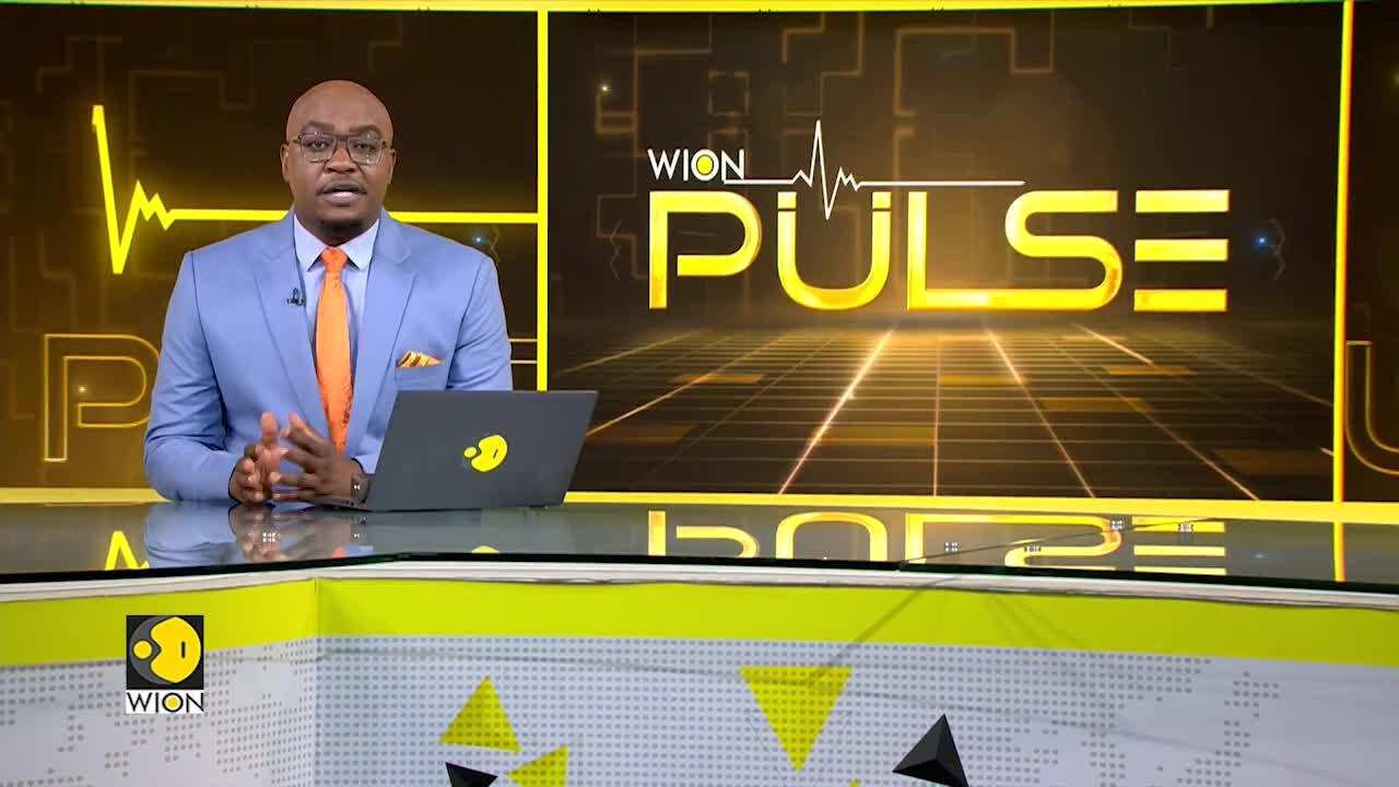 Forests being wiped out at alarming rate, says report - World News