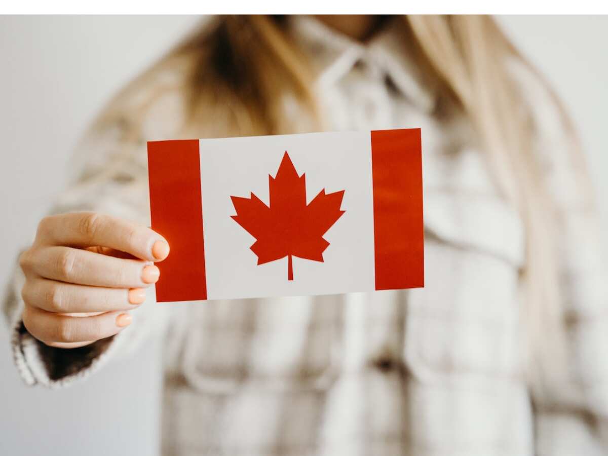 Canada announces new 3-year work permit for US H-1B visa holders| Details - World News