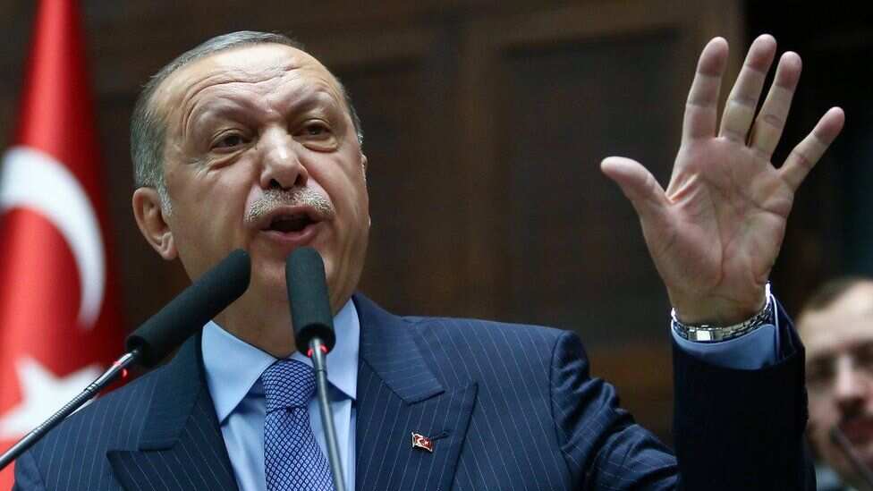 Turkish leader Erdogan blasts Sweden for Quran-burning protest - World News