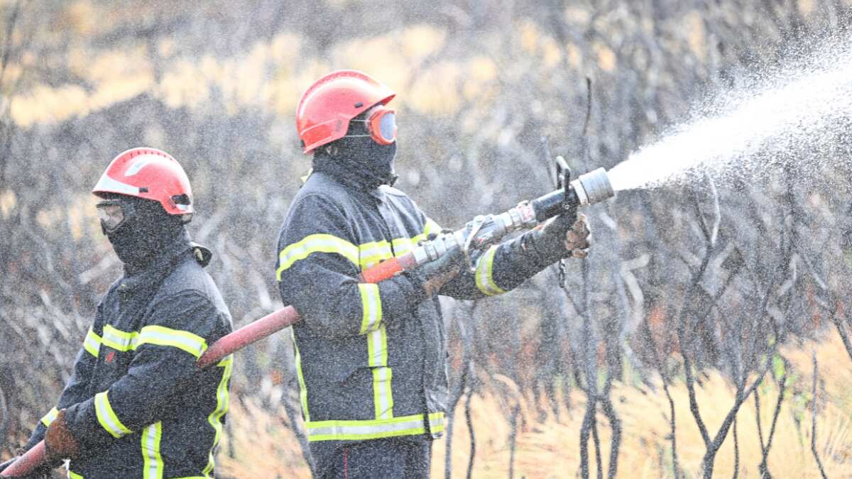 Firefighters take part in forest fire drill in France - World News