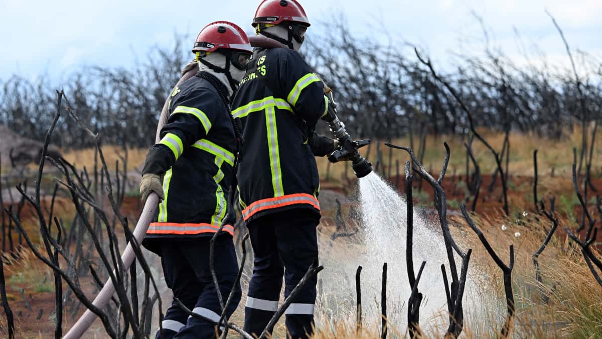 Firefighters take part in forest fire drill in France - World News