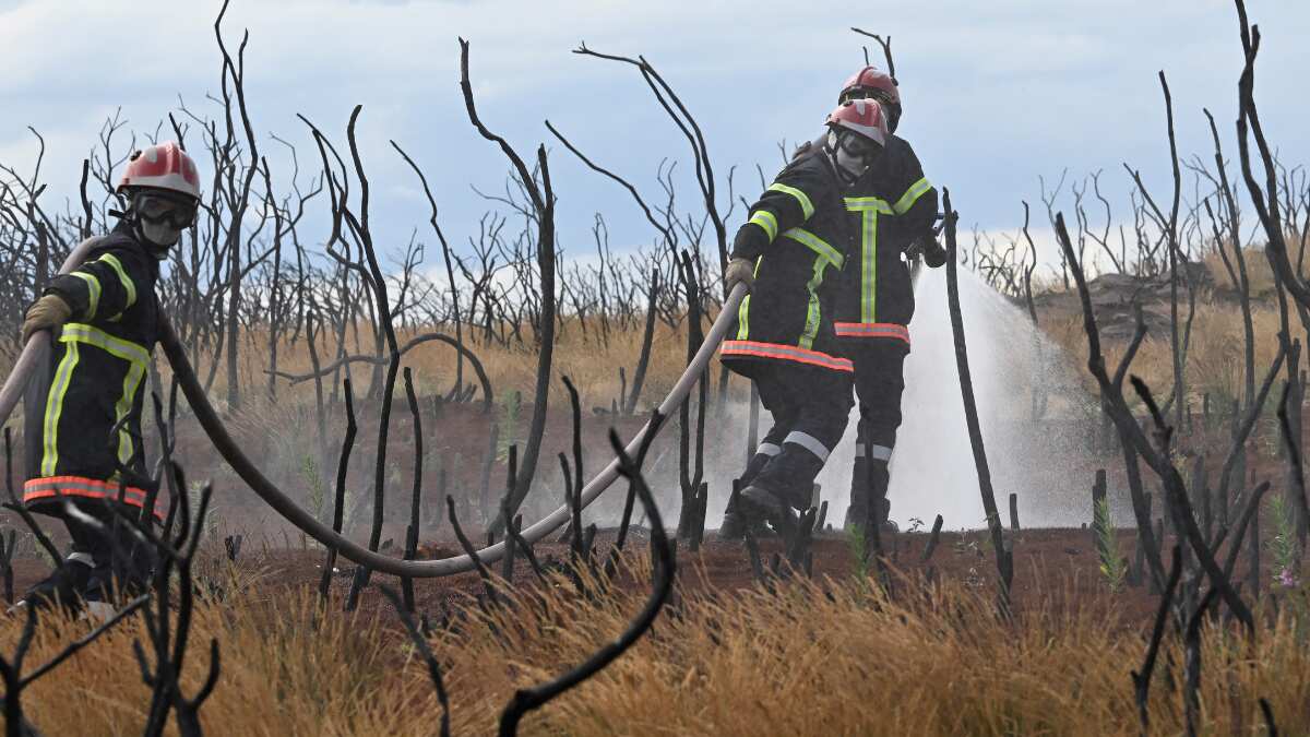 Firefighters take part in forest fire drill in France - World News