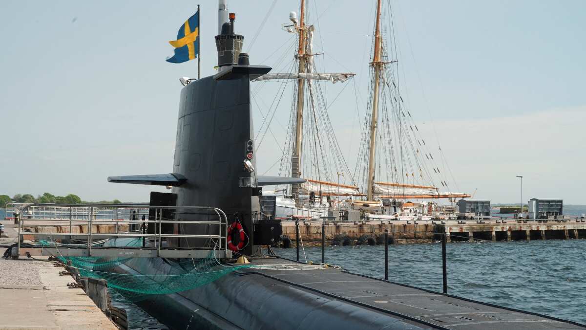 What will Sweden's submarines bring to NATO? - World News