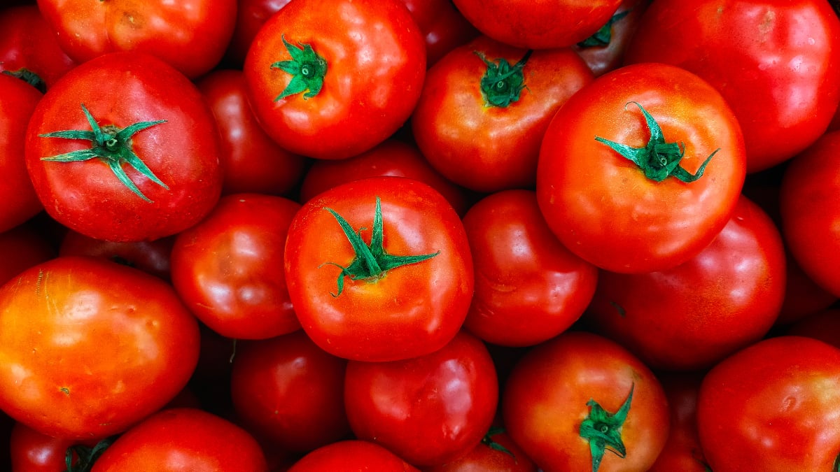 India: Tomato prices surge to five times normal cost, triggering social ...