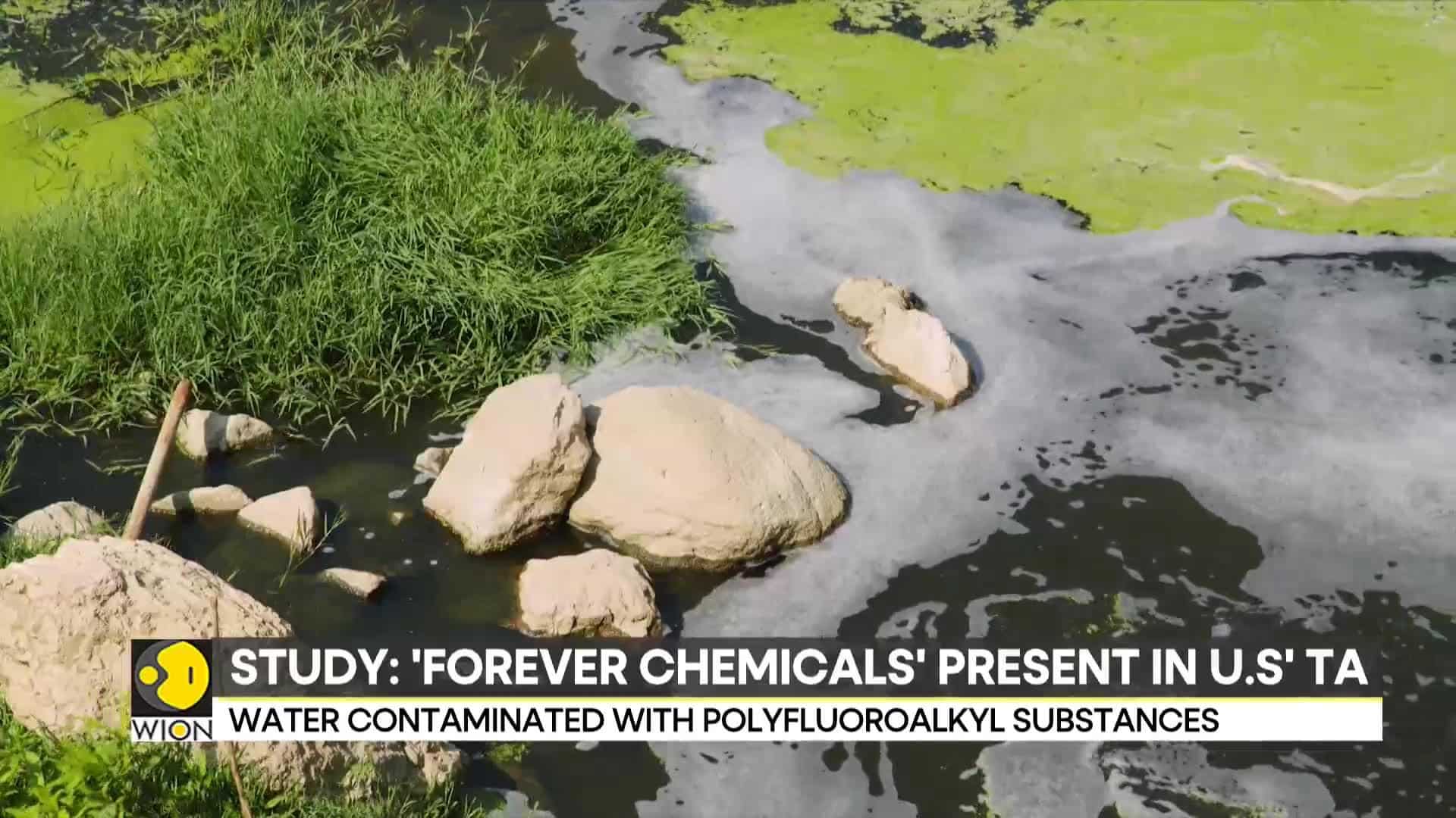 Nearly half of the tap water in the US is contaminated with ‘forever ...