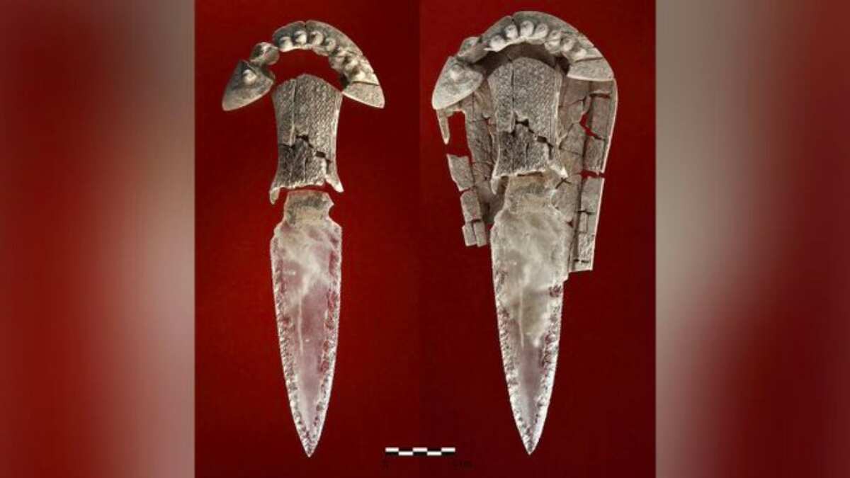 5,000-year-old skeleton is of 'Ivory Lady' & not 'Ivory Man', Spanish ...