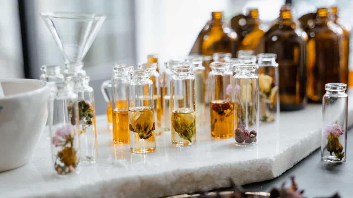 The aromatherapy effect: How fragrances influence mood and emotions ...