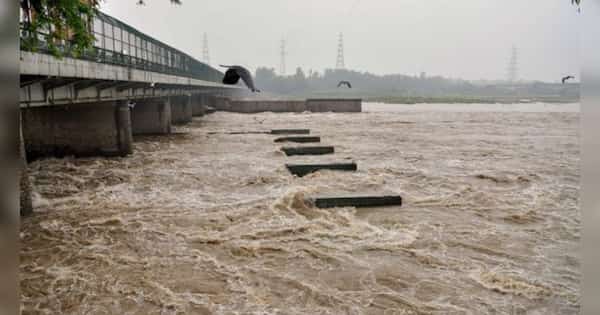 Yamuna river water level breaches 45-year record, flood alert in India's capital Delhi - India ...