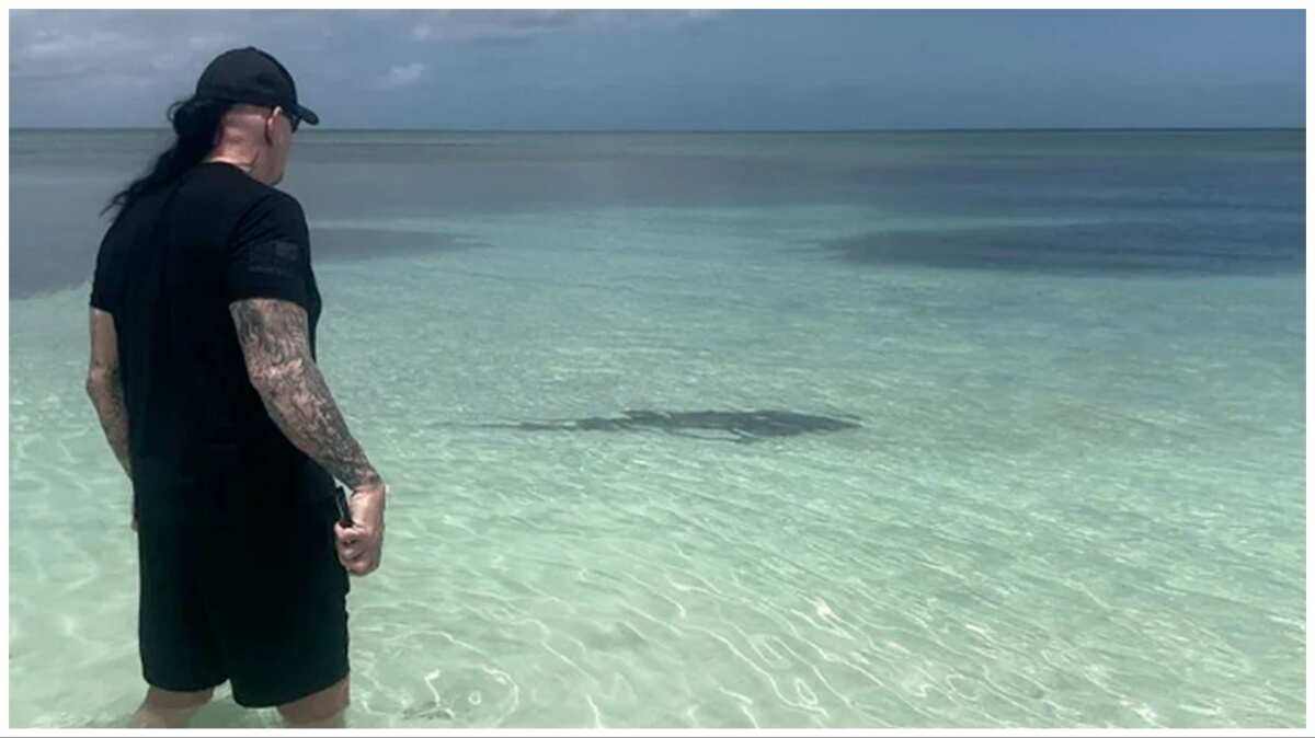 WWE legend The Undertaker saves wife from potential shark attack, video ...