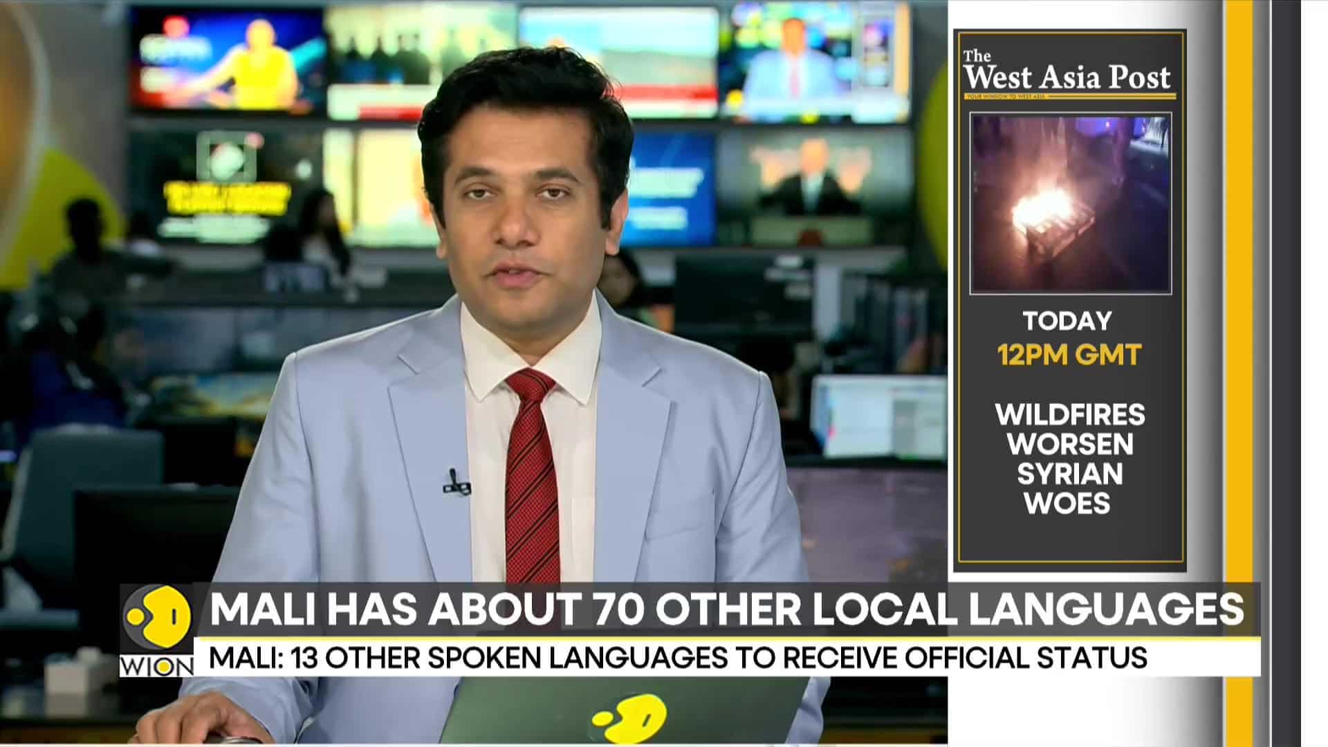 What Language is Spoken in Mali?