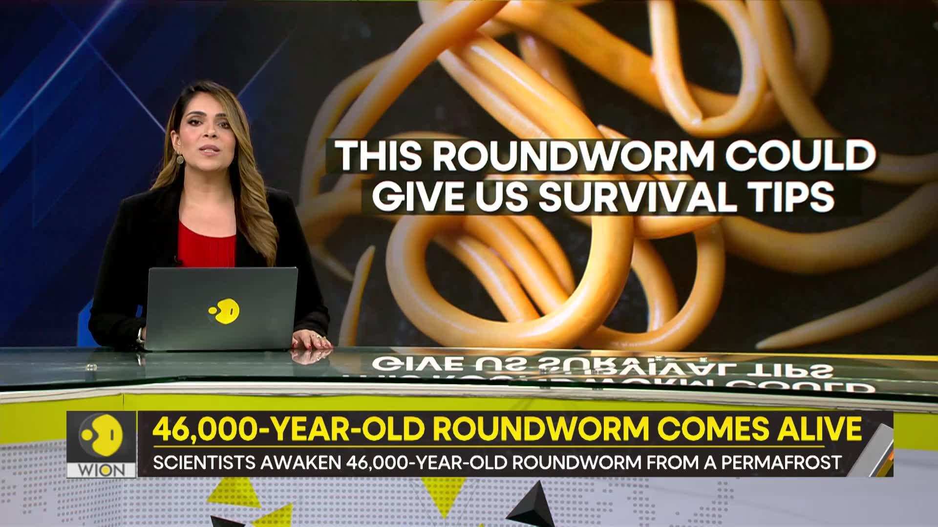 Gravitas: Scientists awaken 46,000-year-old roundworm from permafrost - Gravitas News