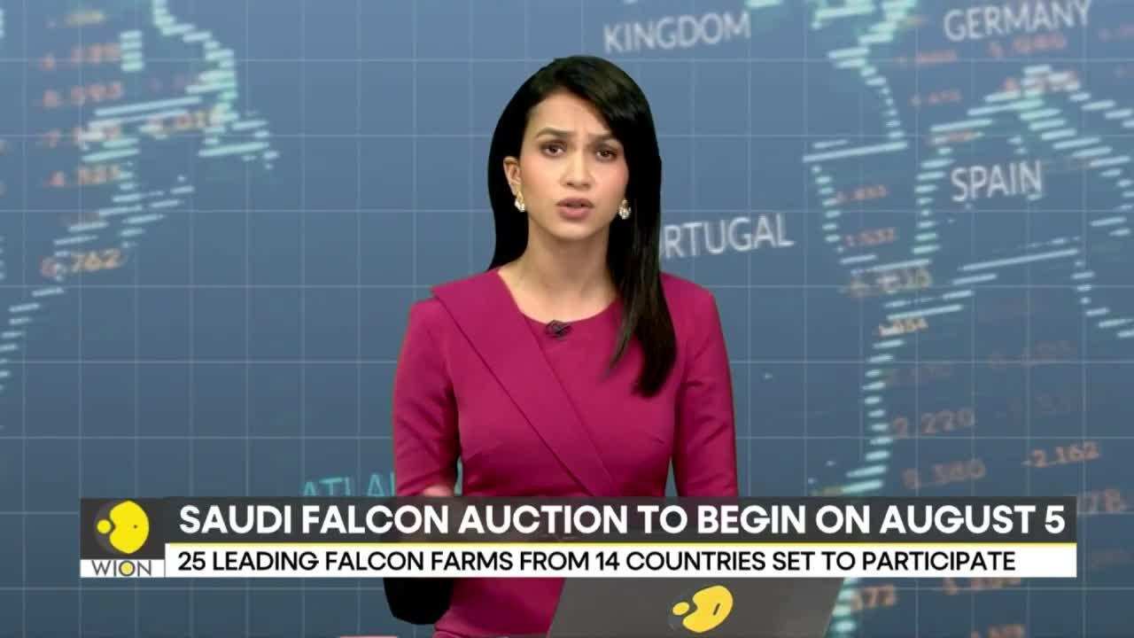 Saudi falcon auction to begin on August 5, to include 6 stages | World News | WION - World News