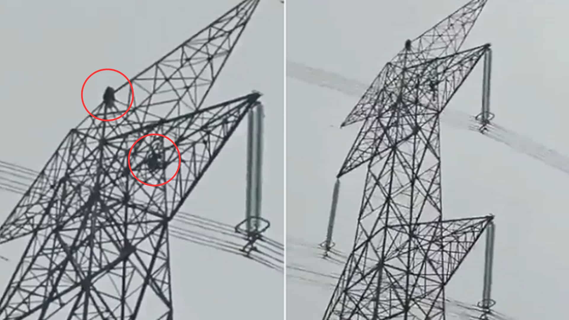 Love's heights: Furious girlfriend climbs 80-foot-high transmission ...