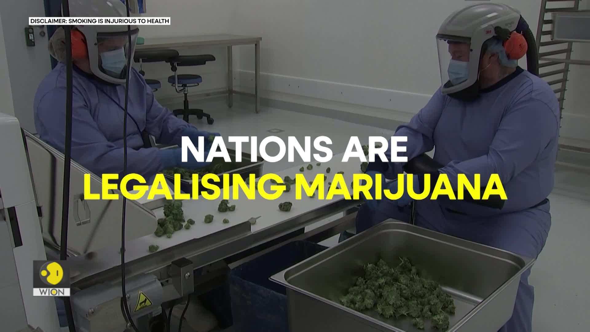 Will Germany legalise recreational Marijuana use? What will be the new ...