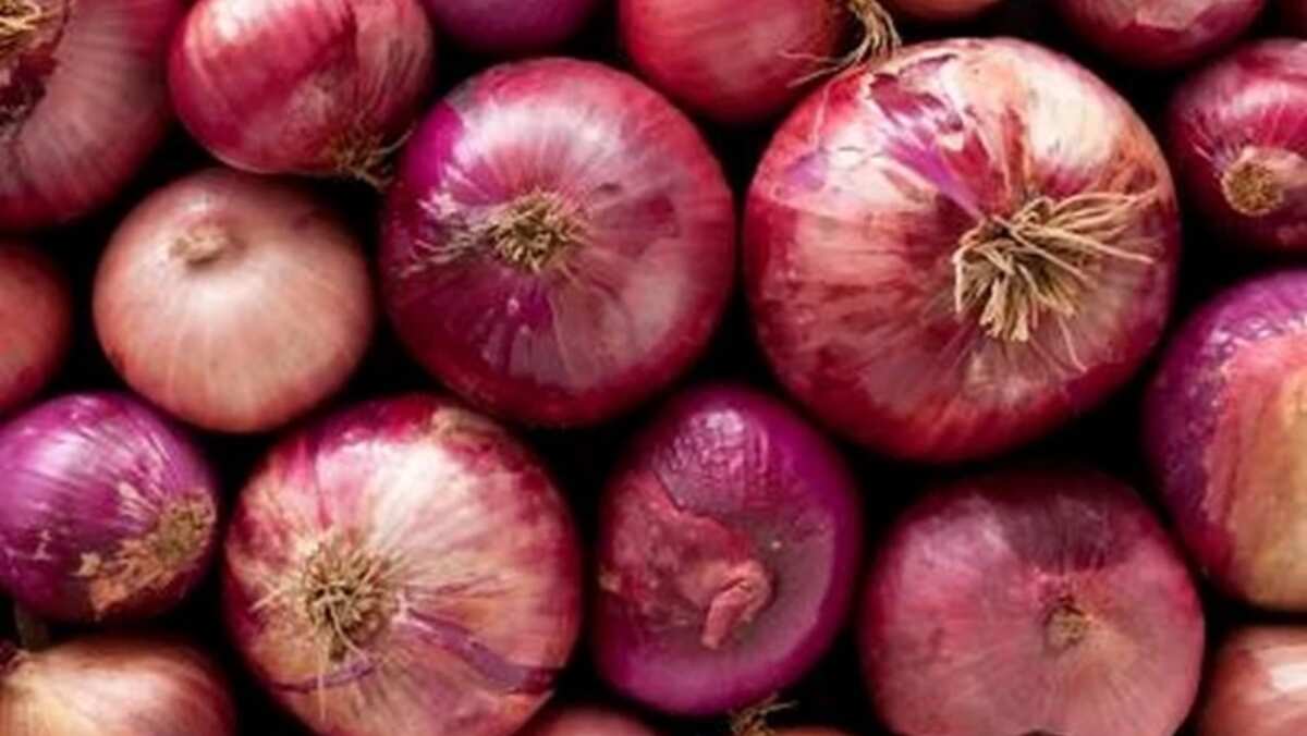India: NCCF to sell onions at Rs 25 per kg after Centre raises onion buffer - India News News