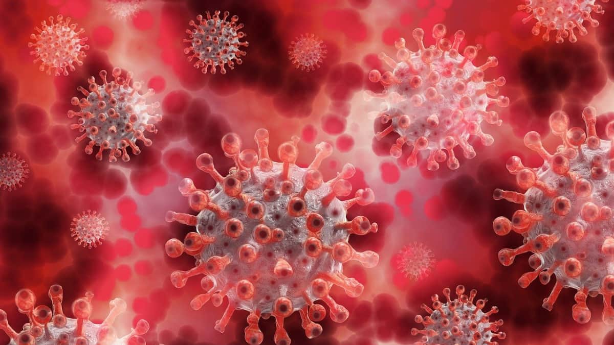 What is 'Pirola' variant of COVID-19? Experts say it may bypass ...