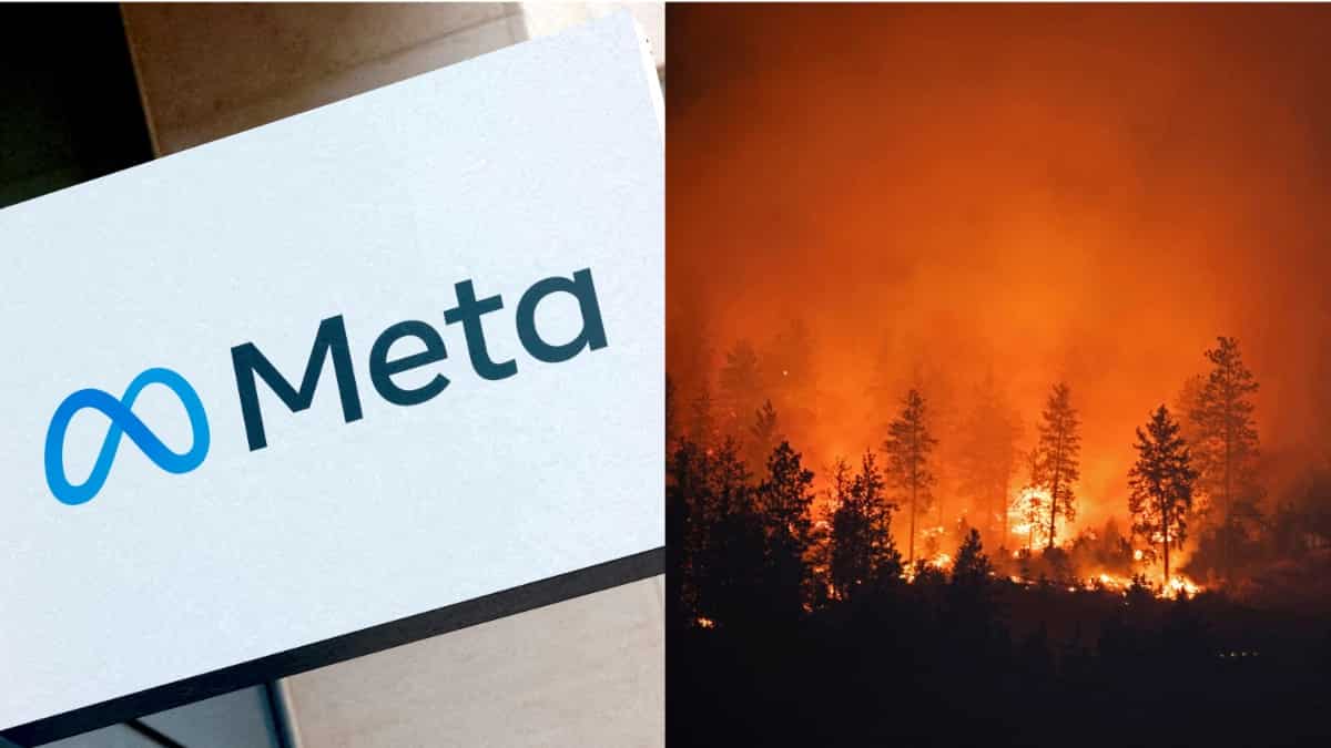 Canada: As wildfires rage, Meta gets slammed over news block - World News